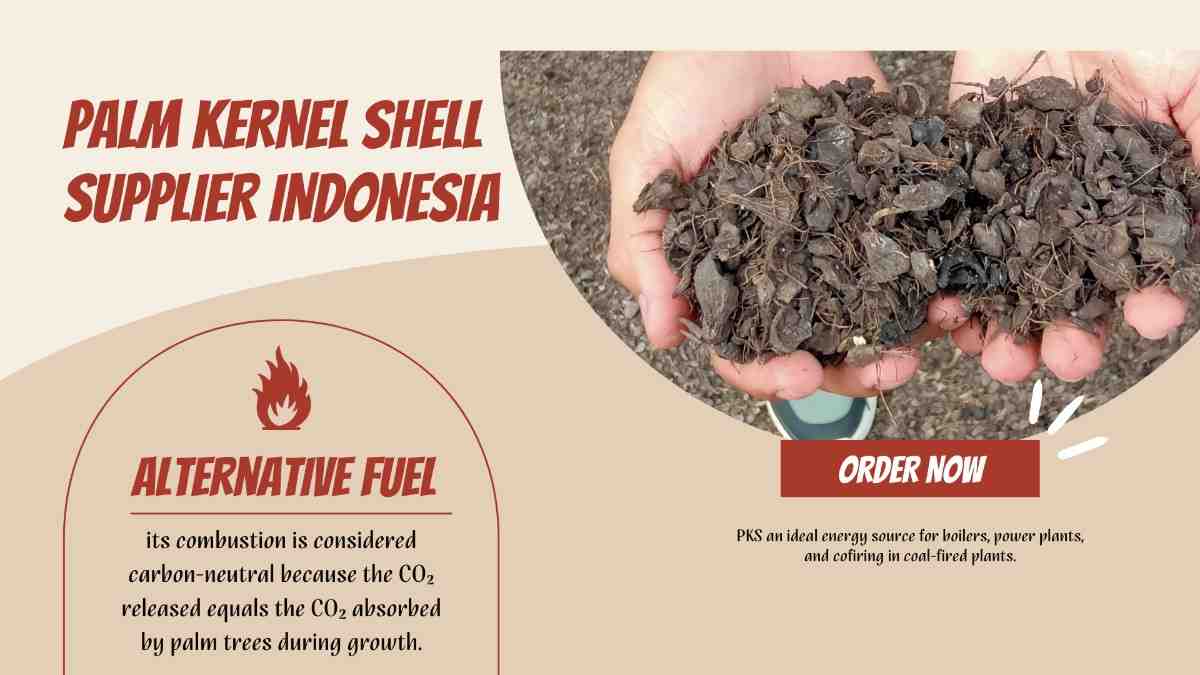 Palm Kernel Shell Supplier Indonesia for Biomass Energy