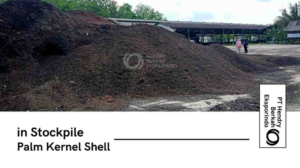 Palm Kernel Shell Supplier Indonesia for Biomass Energy